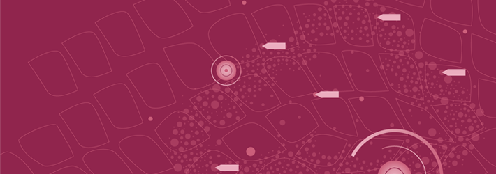 Data Classification Labels: Integrating with Microsoft Information ...