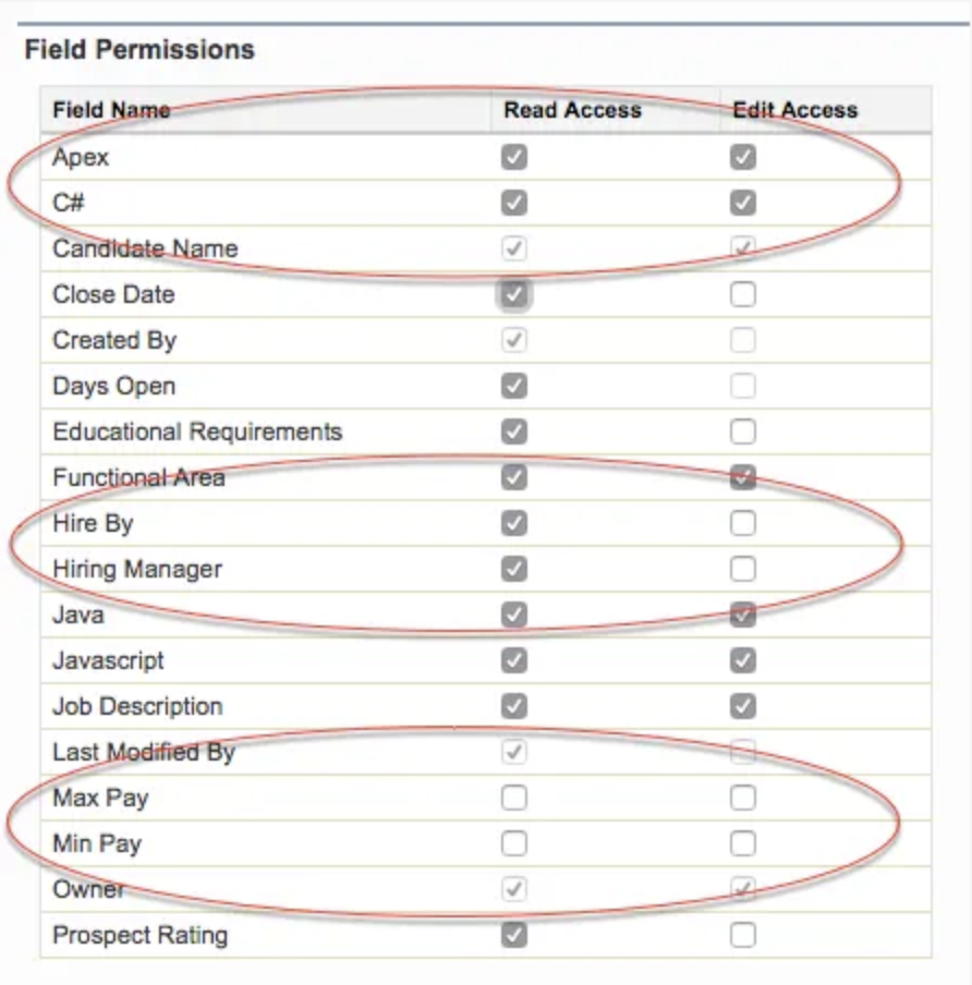 Salesforce Security Guide Best Practices