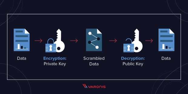 How To Prevent Ransomware: The Basics