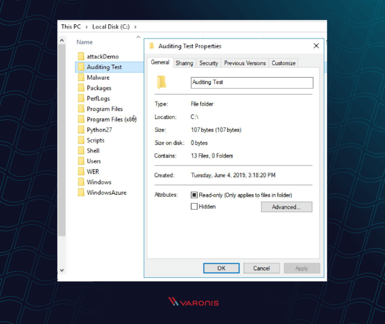 Complete Guide to Windows File System Auditing - Varonis