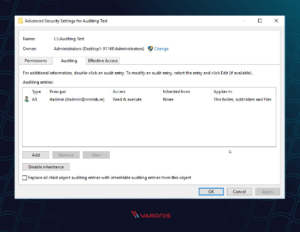 Complete Guide to Windows File System Auditing - Varonis